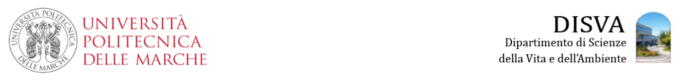 Documentazione a uso interno | Disva